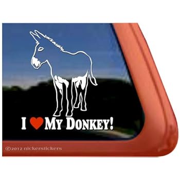 Amazon.com: I Love My Donkey! ~ Donkey Horse Trailer Vinyl Window Decal ...