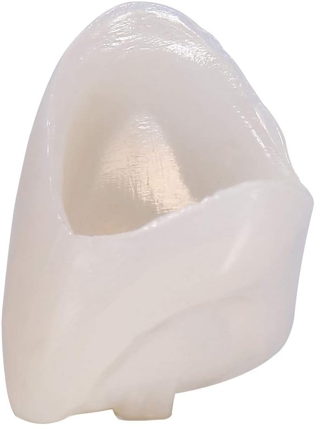 Dental Synthetic Resin Tooth Denture, 50Pcs Dental Temporary Realistic ...