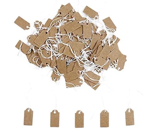Sowaka 100 Pcs Display Tags with Hanging String Mini Writable Blank ...
