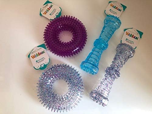 Webbox Squeaky Dog Toys Variety Pack (Pack of 4) – BigaMart