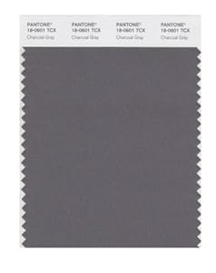 PANTONE SMART 18-0601X Color Swatch Card, Charcoal Gray - House Paint ...