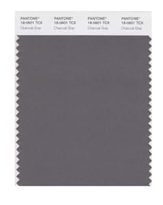 PANTONE SMART 18-0601X Color Swatch Card, Charcoal Gray - House Paint ...