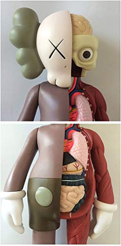 WINDAYT Prototype Model Art Toys Dissected Action Figure Collectible ...