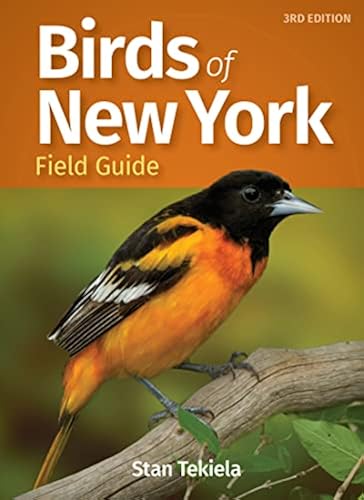 Birds of New York Field Guide (Bird Identification Guides) in Saudi ...