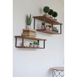 Amazon.com: Kalalou Set of Double Recycled Wood and Metal Shelves: Home ...
