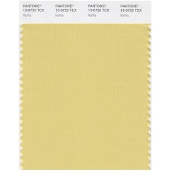 PANTONE Smart 19-2432X Color Swatch Card, Raspberry Radiance - House ...