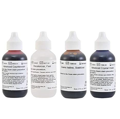 Gram Stain Kit Advanced (Miniature Size), Produces Brighter Colors for ...