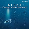 Liquid Mind - Liquid Mind VI: Spirit - Amazon.com Music