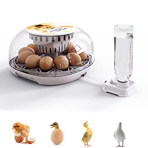 Egg Incubator, Fistone 12 Eggs Full Automatic Chick Incubator with Auto ...