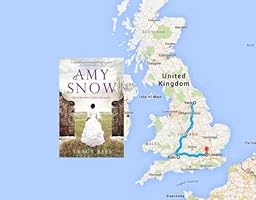 Amy Snow: The Richard and Judy Bestseller: Tracy Rees: 0001784291455 ...