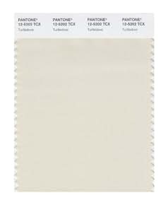 PANTONE Smart 12-5202X Color Swatch Card, Turtledove - House Paint ...