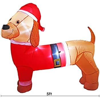 Amazon.com: 5ft Long Wiener Dog Self-Inflatable with Suit Perfect for ...