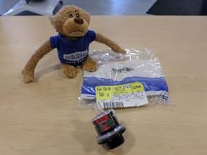 Amazon.com: General Motors, INDICATOR, 15073765: Automotive