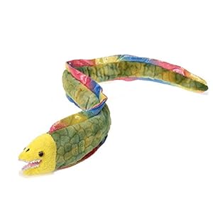 Amazon.com: Moray Eel Plush Stuffed Animal Toy by Fiesta Toys - 26.5 ...