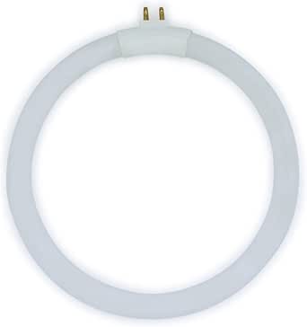 Replacement for Intertek Magnifies Lamp T-4 12w 6400k Light Bulb by ...