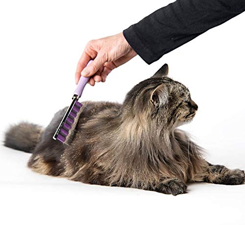 Small Pet Select – Hair Buster Comb for Rabbits, Cats and Dogs, Metal ...