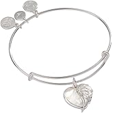 Amazon.com: Alex and Ani Replenishment 19 Women's Art Infusion, Just A Phase Charm Bangle, Shiny ...