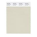 Amazon.com: PANTONE Smart 12-0105X Color Swatch Card, Bone White: Home ...
