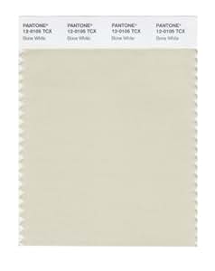 Amazon.com: PANTONE Smart 12-0105X Color Swatch Card, Bone White: Home ...