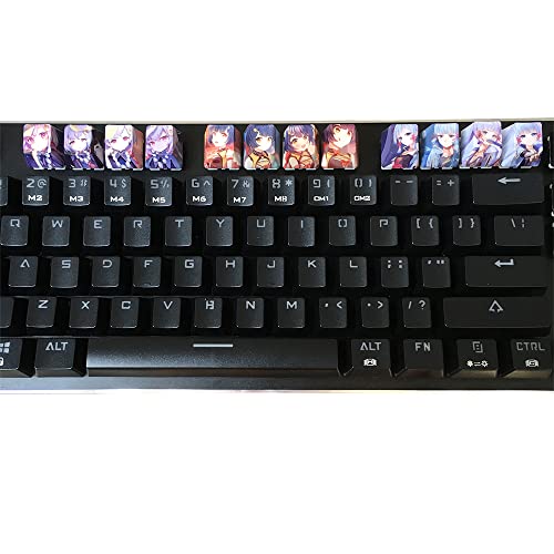 Benemate 12 keycap Set, 5-Side Dye-subbed PBT R4 Keycaps, DIY Cherry ...