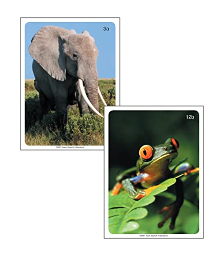 Super Duper Publications | Webber® Animals Photo Card Deck ...
