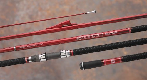 Daiwa Saltiga Ballistic Interline Surf Rod SABS35-405I: Amazon.co.uk ...