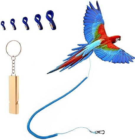 kcrygogo Parrot Bird Harness Leash Anti-bite Outdoor Blue Flying ...