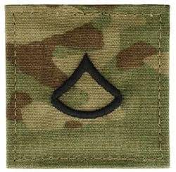 Amazon.com: LTC Lieutenant Colonel Rank OCP Patch 2x2 With Hook & Loop ...
