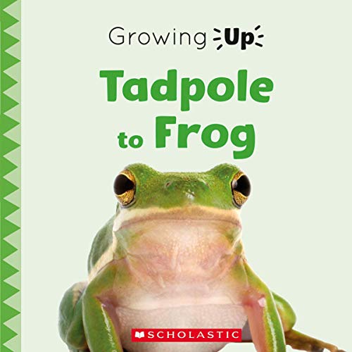 Amazon.com: Tadpole to Frog (Growing Up) (Library Edition) (Explore the ...