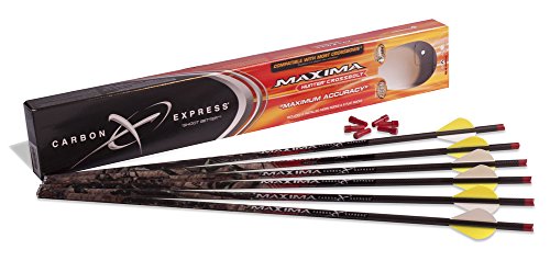 Best Crossbow Bolts of 2020 – Complete Review