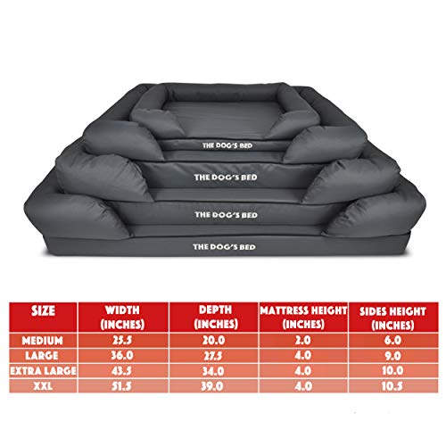 10 Best Selling Beautiful Dog Beds | Widest