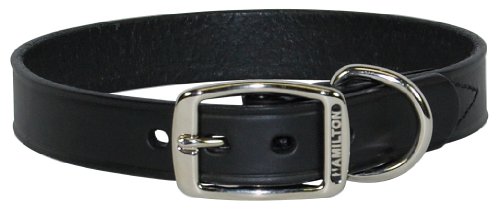 Hamilton Leather Dog Collar - Indepth Review - Dog Products Guide