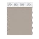PANTONE Smart 16-0906X Color Swatch Card, Simply Taupe - House Paint ...