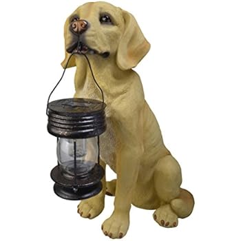 Amazon.com : Black Labrador Dog Sitting Down With Lantern Solar Light ...