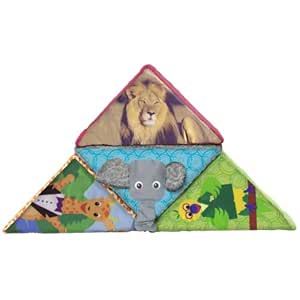 Amazon.com : Baby Einstein Animal Discovery Block Set - Neutral ...