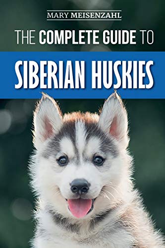 The Complete Guide to Siberian Huskies: Finding, Preparing For ...