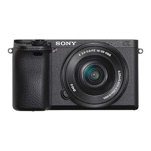 5 Best Cameras for Hybrid Shooters 2022 (Stills and Video)