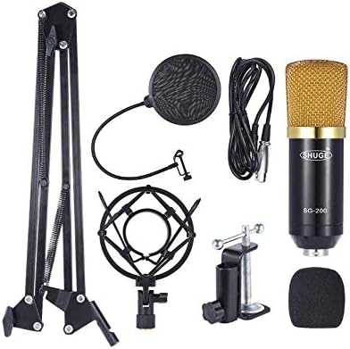 Professional Broadcasting Studio Recording Condenser Microphone Mic Kit ...