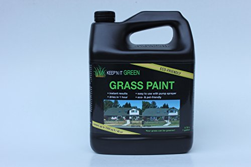KEEP'N IT GREEN GRASS PAINT 1 GALLON COVERS UPTO - Want It All