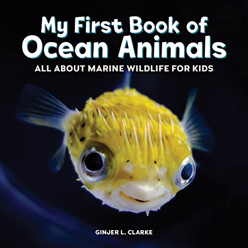 Amazon - My First Book of Ocean Animals: All About Marine Wildlife for ...