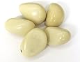 Amazon.com: Large Polished Tagua Nuts, 40-50 mm, set of five