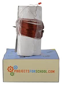 Buy ProjectsforSchool Simple Electricity Generator School Science ...