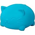 Amazon.com: Schylling NeeDoh Super Cool Cat - Sensory Fidget Toy ...