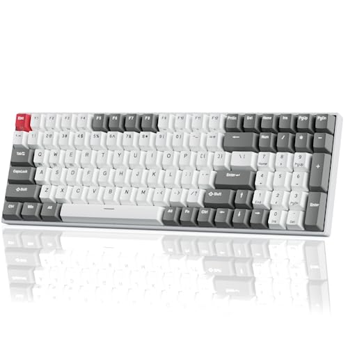 RK ROYAL KLUDGE RK100 Wireless Mechanical Keyboard RGB Backlit ...
