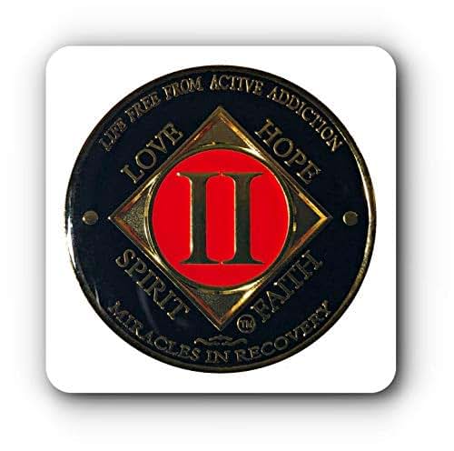 Amazon.com: 2 Year NA Coin Gold Plated Medallion, Recovery Chip, 12 ...