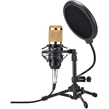 Amazon.com: DricRoda USB Microphone,Professional Computer Mic Podcast ...
