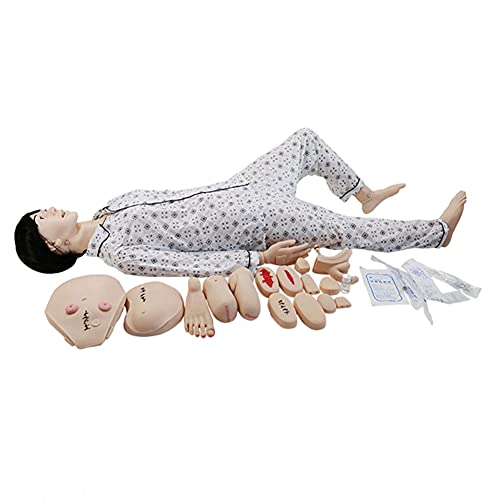 EROOLU Demonstration Human Manikin, 5.5ft Life Size Human Dummy Nursing ...
