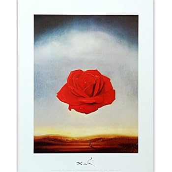 Amazon.com: Meditative Rose by Salvador Dali - Art Print / Poster 11x14 ...
