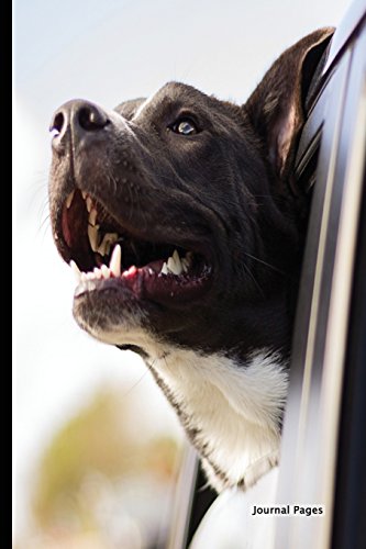 Journal Pages - Car Dog (Bullet Journal): 6" x 9", Dotted Grid, Dot ...