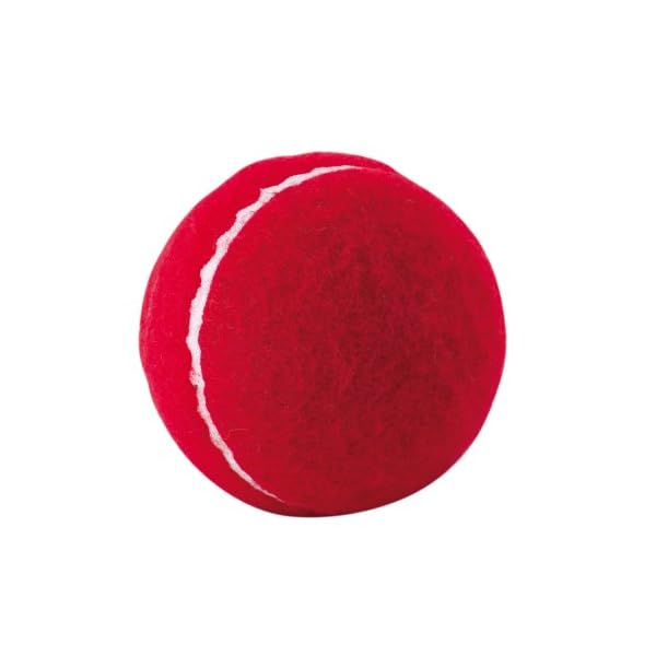 NIVIA Heavy Red Cricket Tennis Hard Ball - Deportivos.com